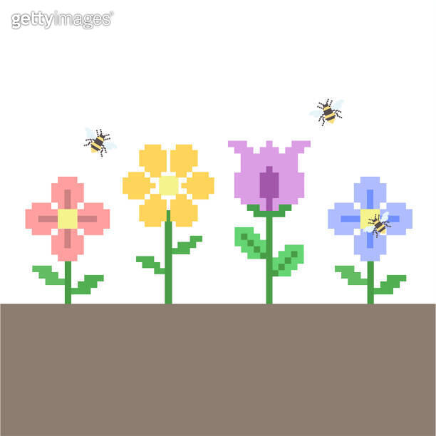 Garden flower with honey bee pixel art 8bit 이미지 (1500906702) - 게티이미지뱅크