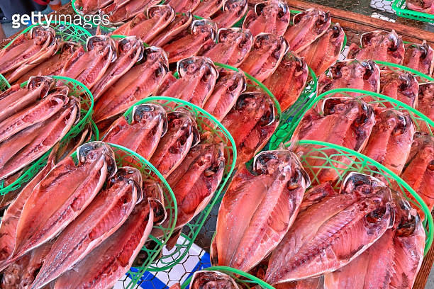 Dried horse mackerel Numazu Port Numazu City, Shizuoka Prefecture Fish ...