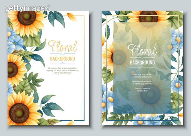 Set of greeting card template with sunflowers, blue daisies. Flyer ...