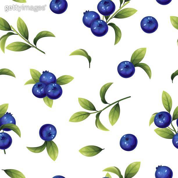 Seamless pattern of blueberries. Texture of blue berries and leaves ...