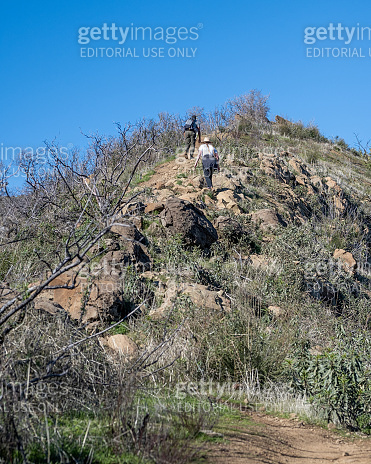 The Blue Ridge Trail, Stebbins Cold Canyon 이미지 (1460953277) - 게티이미지뱅크