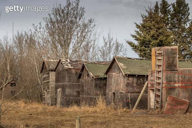 Rustic out buildings dot the countryside Red Deer County Alberta Canada ...