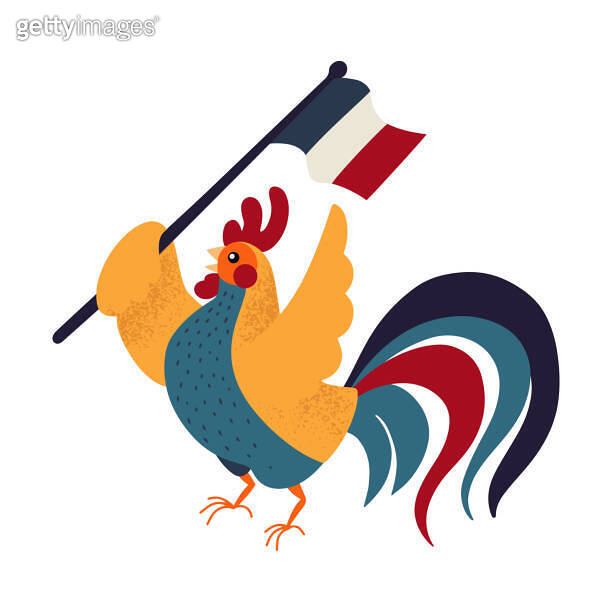 French rooster 이미지 (1500508178) - 게티이미지뱅크