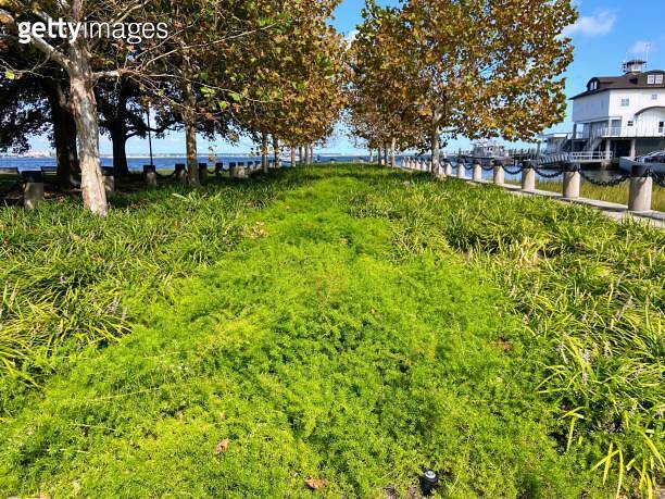 Joe Riley Waterfront Park in Charleston, South Carolina 이미지 (1676891182) - 게티이미지뱅크