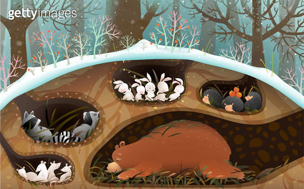 Forest Animals Sleeping in Dens Burrows and Holes 이미지 (1463527394) - 게티 ...