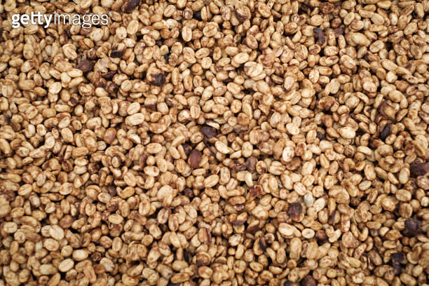 Honey Process, Cherry coffee beans, Coffee Processing ,Natural Dry ...