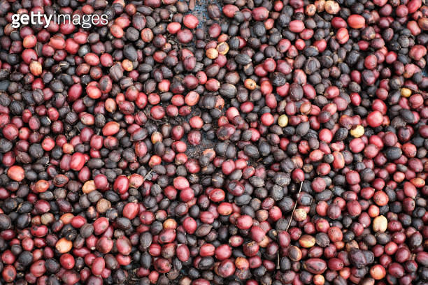 Natural Dry Process ,Pulped-natural, Semi-dry Process Cherry coffee ...