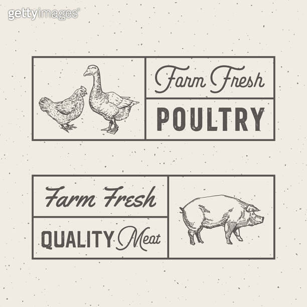 Farm Fresh Poultry and Meat Abstract Vector Signs, Symbols or Emblem ...
