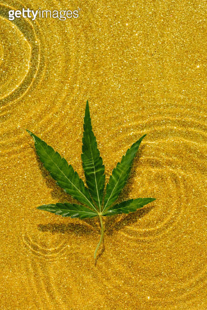 Leaf of marijuana, cannabis on a yellow shiny transparent surface with ...