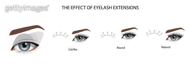 Eyelash Extension Guide. Direction schemes. Tips and tricks for eyelash ...