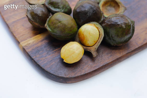 Djenkol fruit bean on white background 이미지 (1769756513) - 게티이미지뱅크