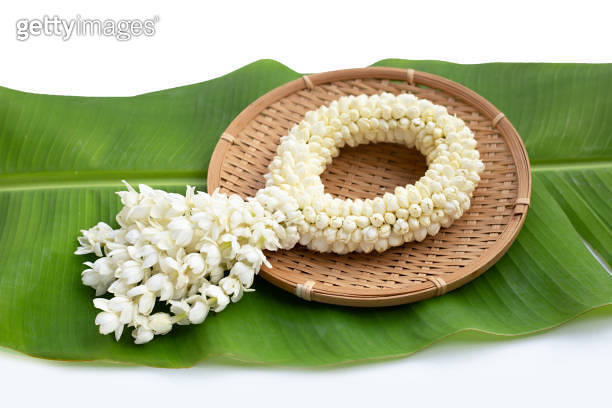 Thai white jasmine flower garland 이미지 (1529498137) - 게티이미지뱅크