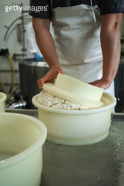 Close-up of a man cheese maker forming cheese into the plastic molds at ...