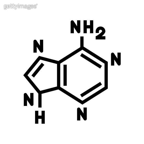 nucleic acid bases biochemistry line icon vector illustration ...