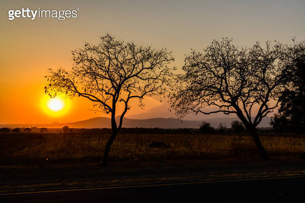 Landscape at the Arusha national park at sunset, Tanzania 이미지 ...