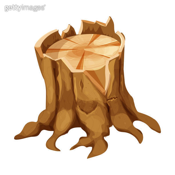 Wooden stump forest tree trunk with roots, cut section in cartoon style ...