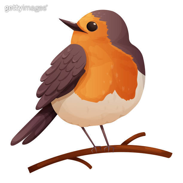 Robin bird cute little bird character on branch in cartoon style ...