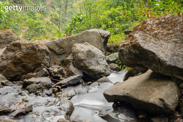 Tropical river flow on Semarang Central Java with green leaf and river ...