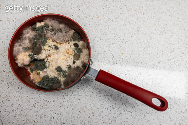 Spoiled rice with mold in the frying pan. 이미지 (1465732478) - 게티이미지뱅크