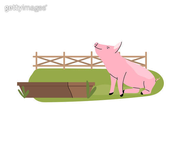 Pink pigs feeding. Pig eating from trough. Hand drawn funny ...