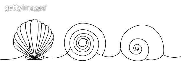 Scallop sea shells. Sea shells, mollusks, scallop, pearls. Tropical ...