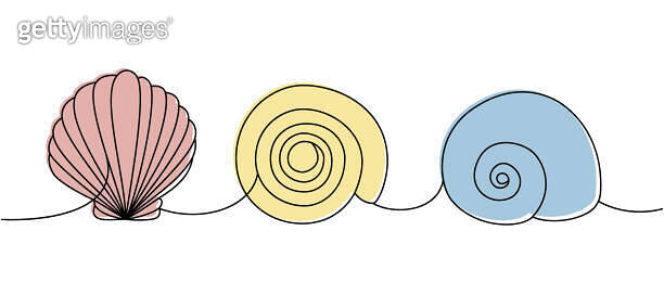 Scallop sea shells. Sea shells, mollusks, scallop, pearls. Tropical ...