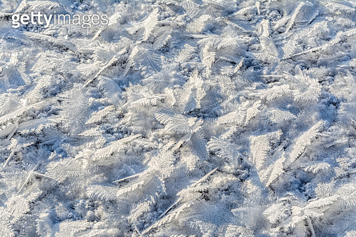 Beautiful lush sparkling snow crystals in the form of snowflakes and ...
