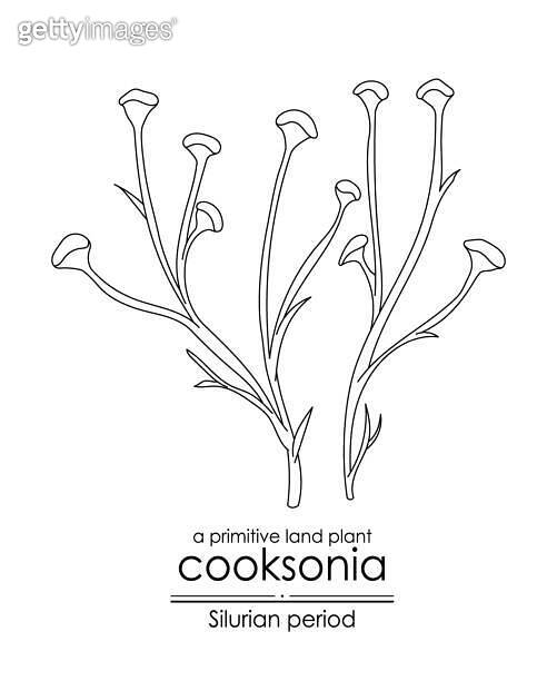 Cooksonia 이미지 (1738090005) - 게티이미지뱅크