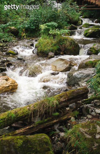 Teletskoye Lake, Altai Republic. Estube Falls 이미지 (1718517735) - 게티이미지뱅크