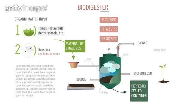 Infographic of a biodigester how it works and conditions for it ...