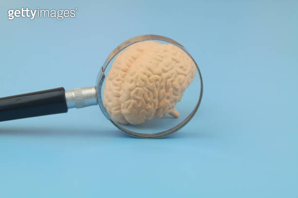 Human brain under magnifying glass on blue background. 이미지 (1502148657 ...
