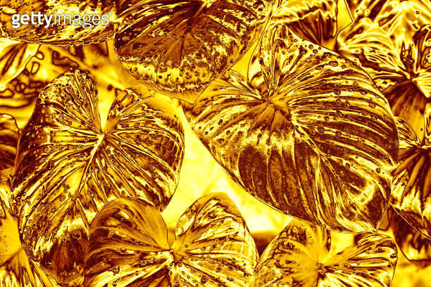 Golden leaves water drops background, gold flower leaf texture, yellow ...