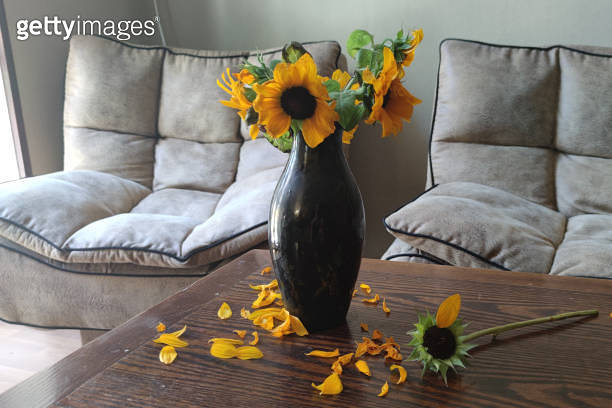 sunflower bouquet. bouquet of falling sunflowers on the table. a ...