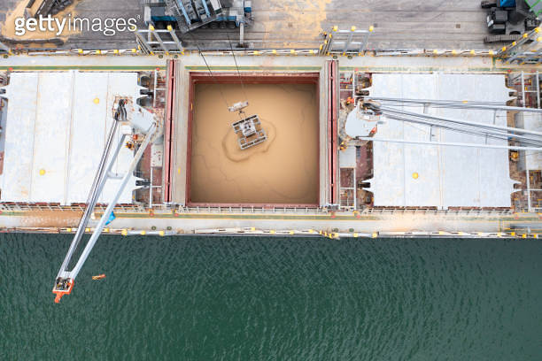Loading grain into sea cargo vessel in commercial port. (1483122592 ...