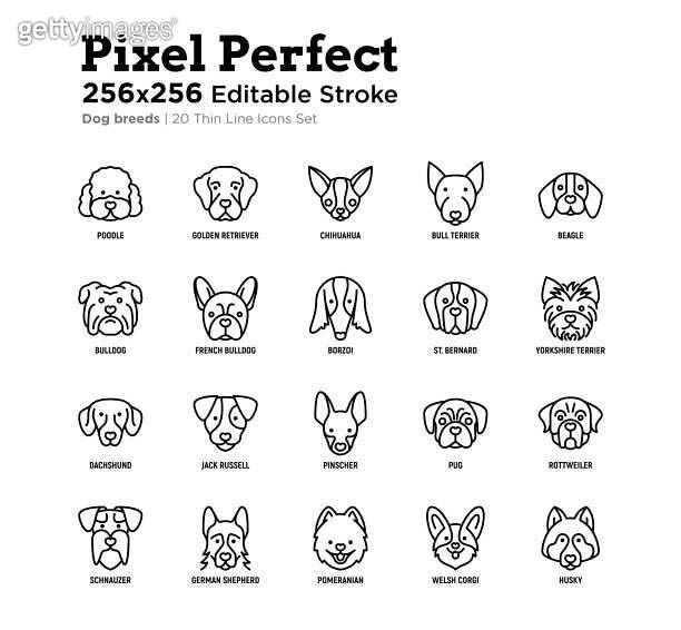 Dog breeds thin line icons set. Poodle, bull terrier, beagle, french ...