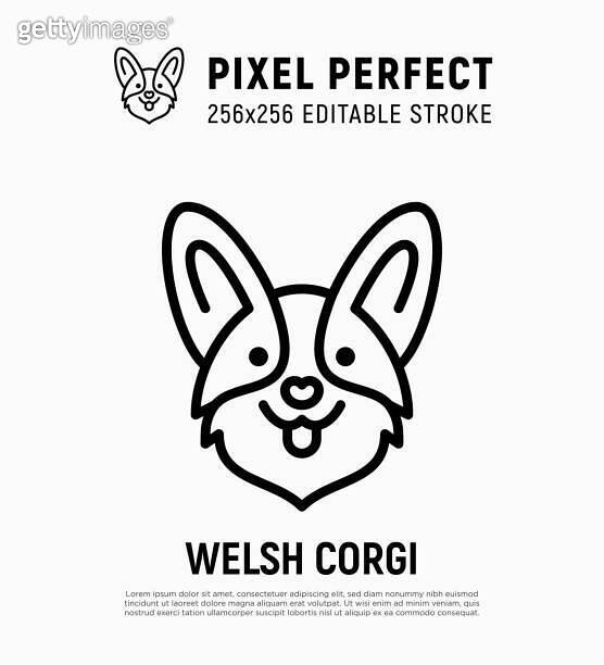 Welsh corgi head thin line icon. Dog breed. Editable stroke. Vector ...