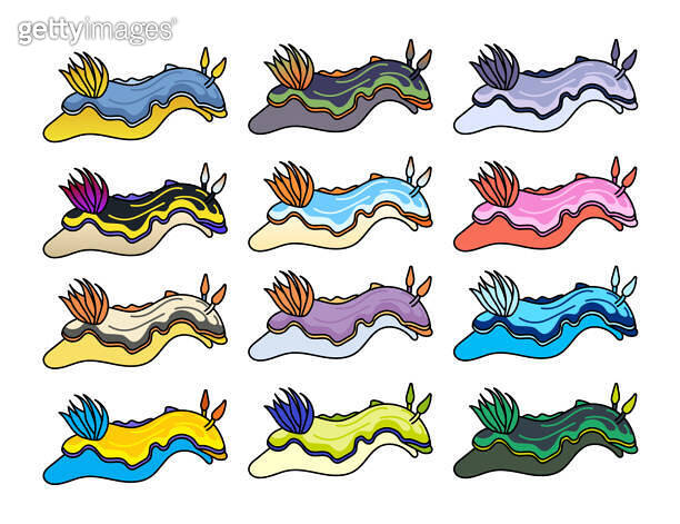 Icon and illustration of various nudibranch in different colors ...