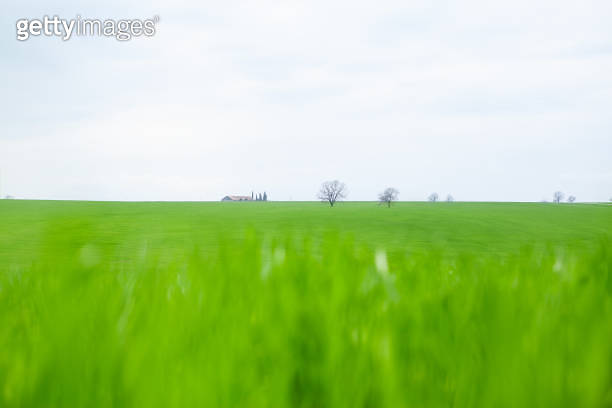 Green grass field with overcast sky and white clouds. 이미지 (1486240303 ...