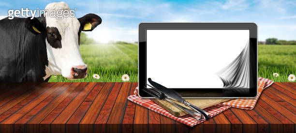 Tablet Computer with Blank Pages and a Cow Looking at the Camera ...