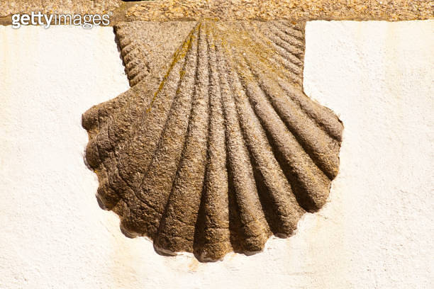 Scallop shell symbol carved in stone in Santiago de Compostela, Galicia ...