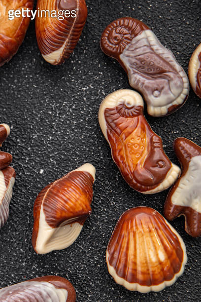 sweet candy seashell delicious chocolate seashells dessert food eating ...