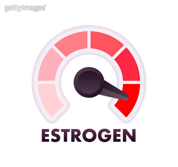 Estrogen Level Meter Measuring Scale Estrogen Speedometer Vector 0192