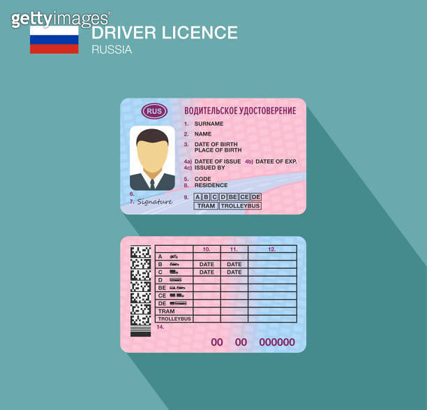 Russian car driver license identification. Vector illustration. Russia ...