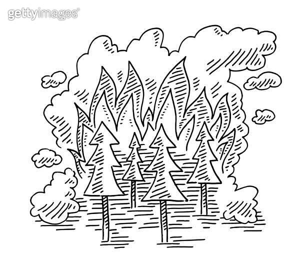 Forest Fire Disaster Drawing 이미지 (1498098625) - 게티이미지뱅크