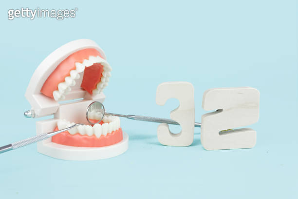 White teeth model and dental instruments with number thirty-two on blue ...