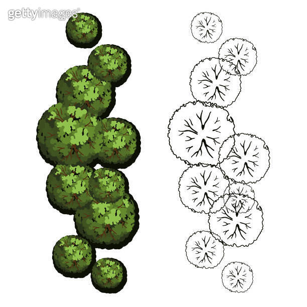 Group of trees for architectural floor plans. Entourage design. Various ...