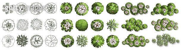 Tree for architectural floor plans. Entourage design. Various trees ...