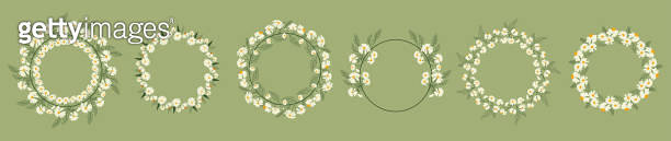 daisy, wreath, chamomile, arch, frame, wedding invitation, arc, flower ...