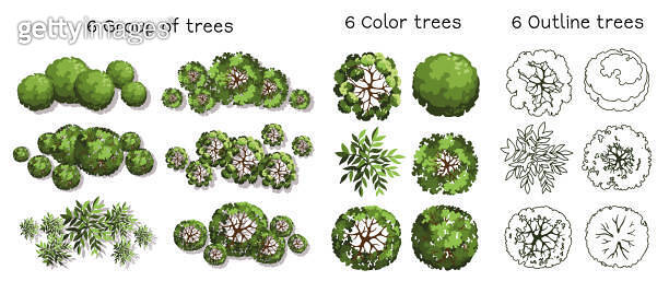 Tree for architectural floor plans. Entourage design. Various trees ...