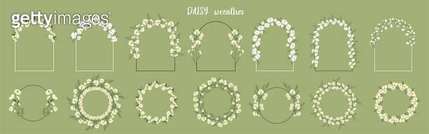 daisy, wreath, chamomile, arch, frame, wedding invitation, arc, flower ...